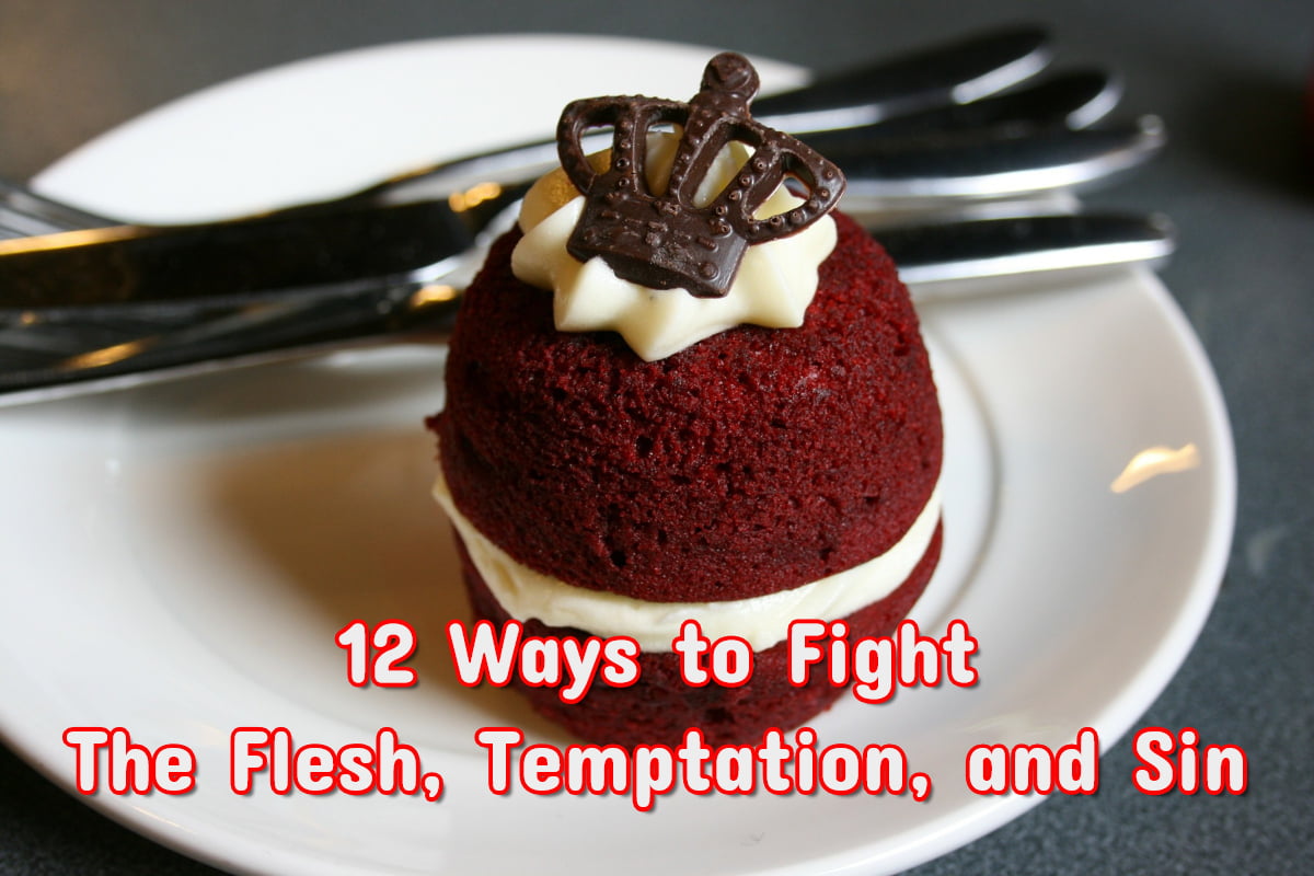 12 Ways to Fight the Flesh, Temptation, and Sin | Jonathan Srock