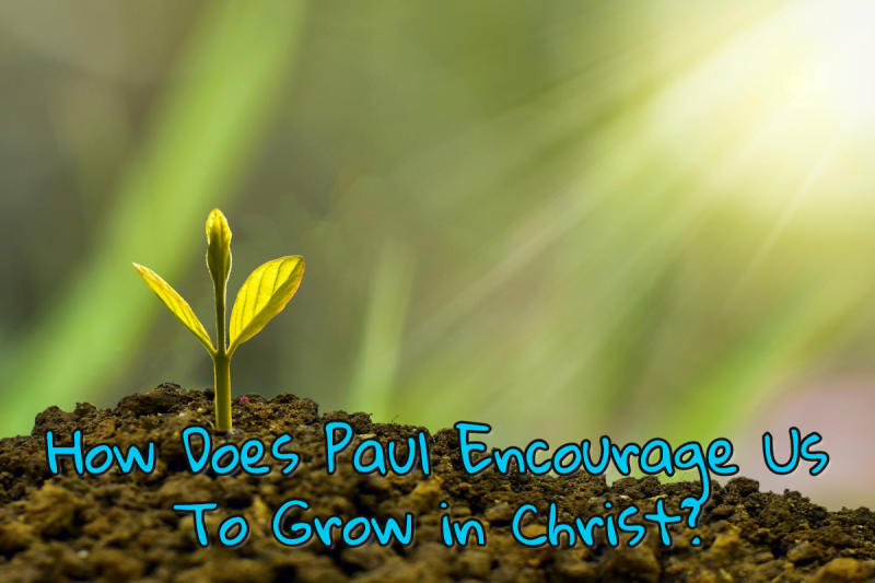 How Does Paul Encourage Us to Grow in Christ from Romans? | Jonathan Srock