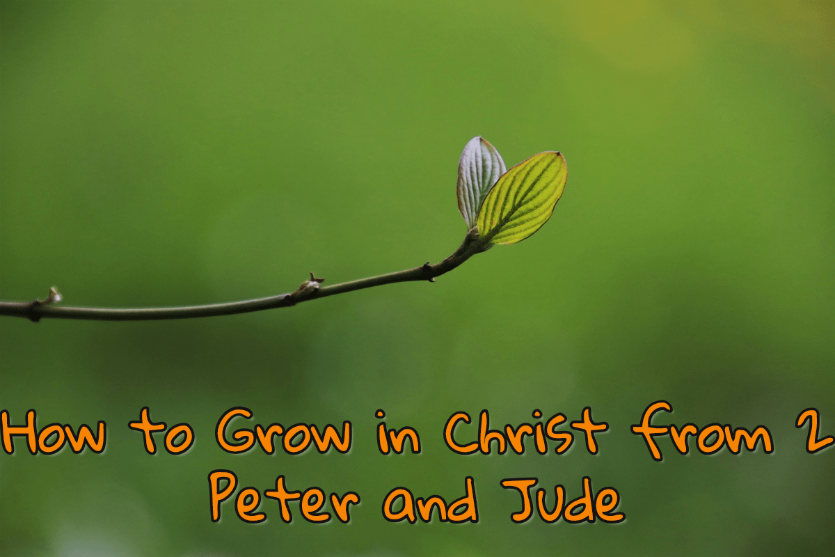 How to Grow in Christ from 2 Peter and Jude | Jonathan Srock