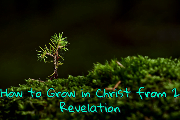 How to Grow in Christ from Revelation | Jonathan Srock